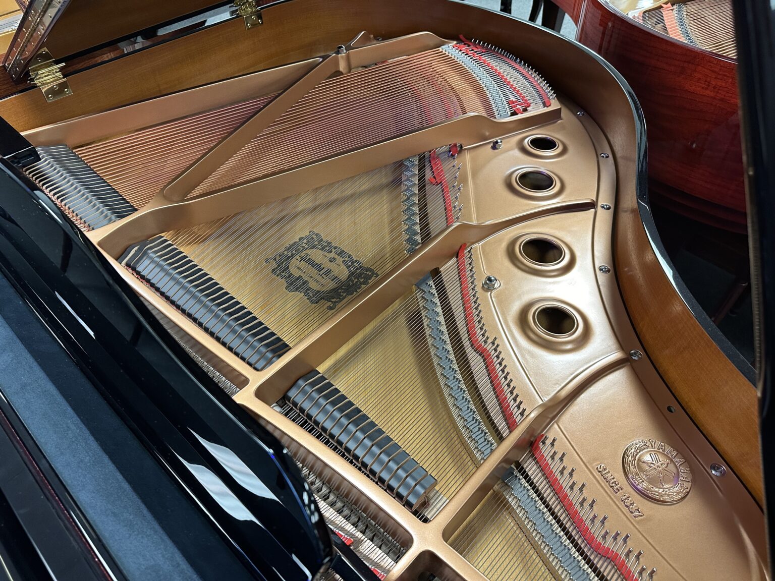 **SOLD** A Piano Named Birdie - Yamaha DGB1KE3 PE 5' Disklavier ...