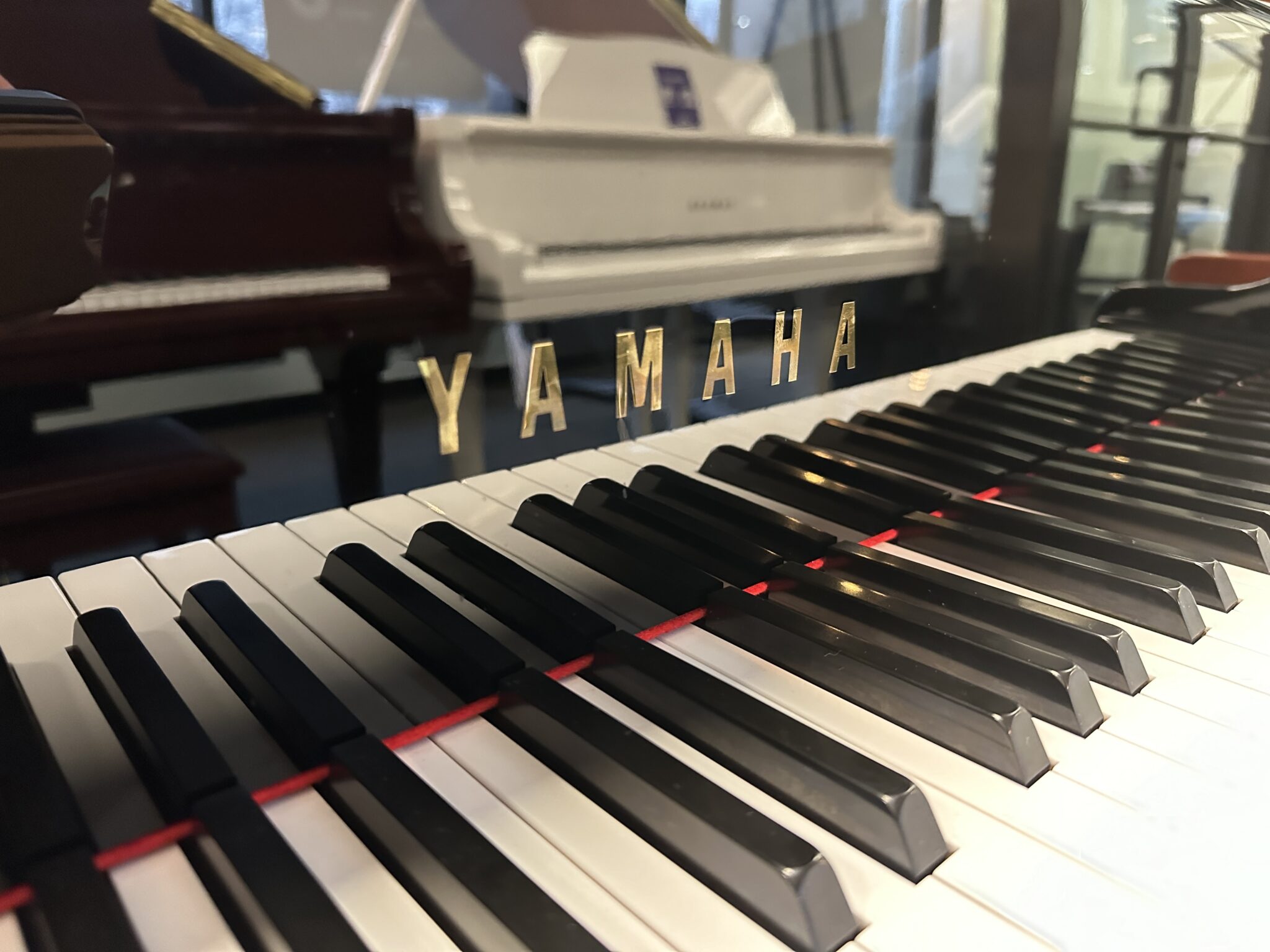 **SOLD** A Piano Named Birdie - Yamaha DGB1KE3 PE 5' Disklavier ...